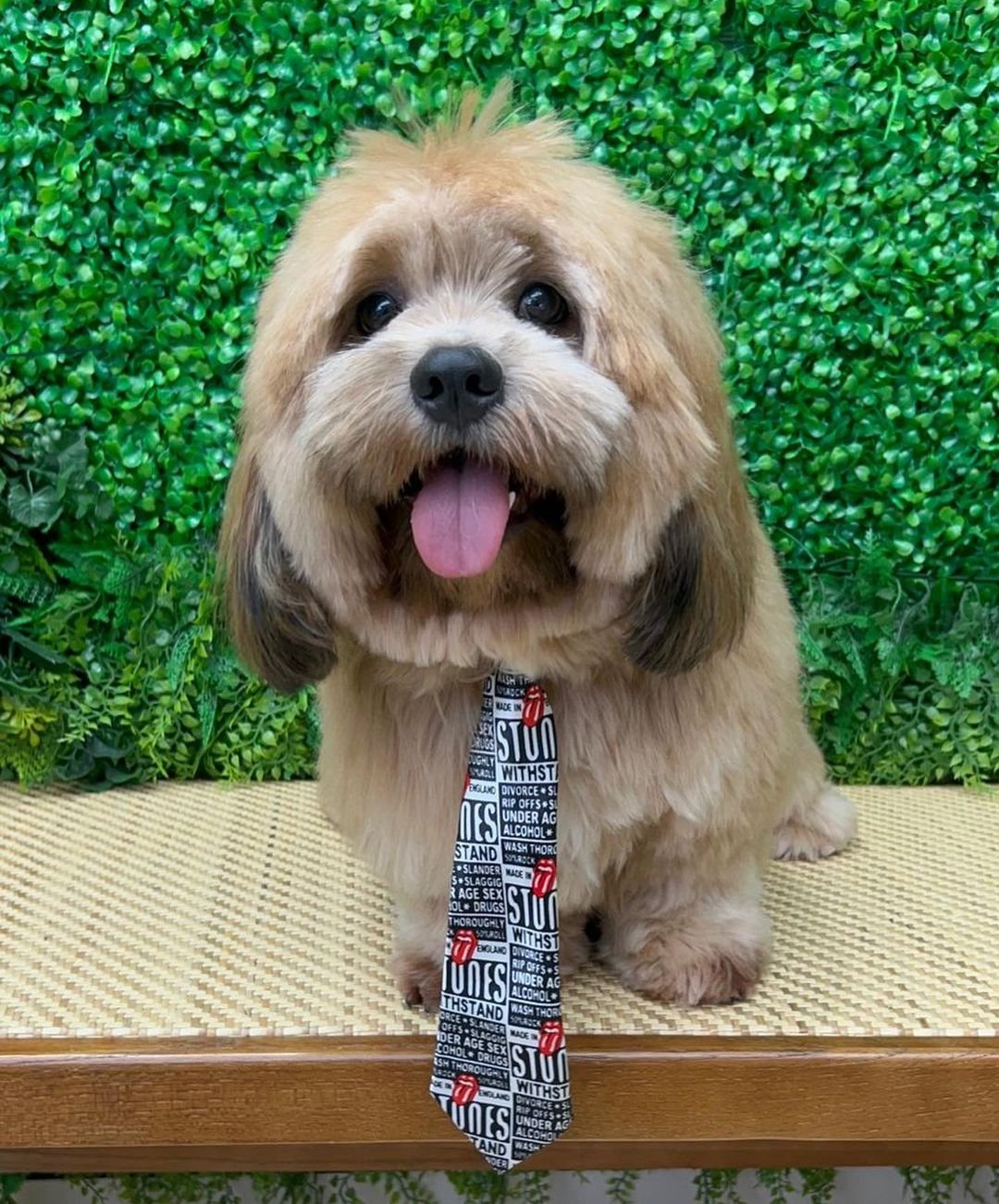 Nosotros – REAL.ENGO